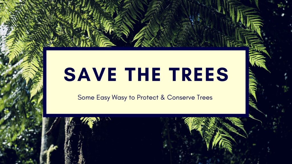 Forest Conservation & Wildlife Protection - Best Ways to Do It