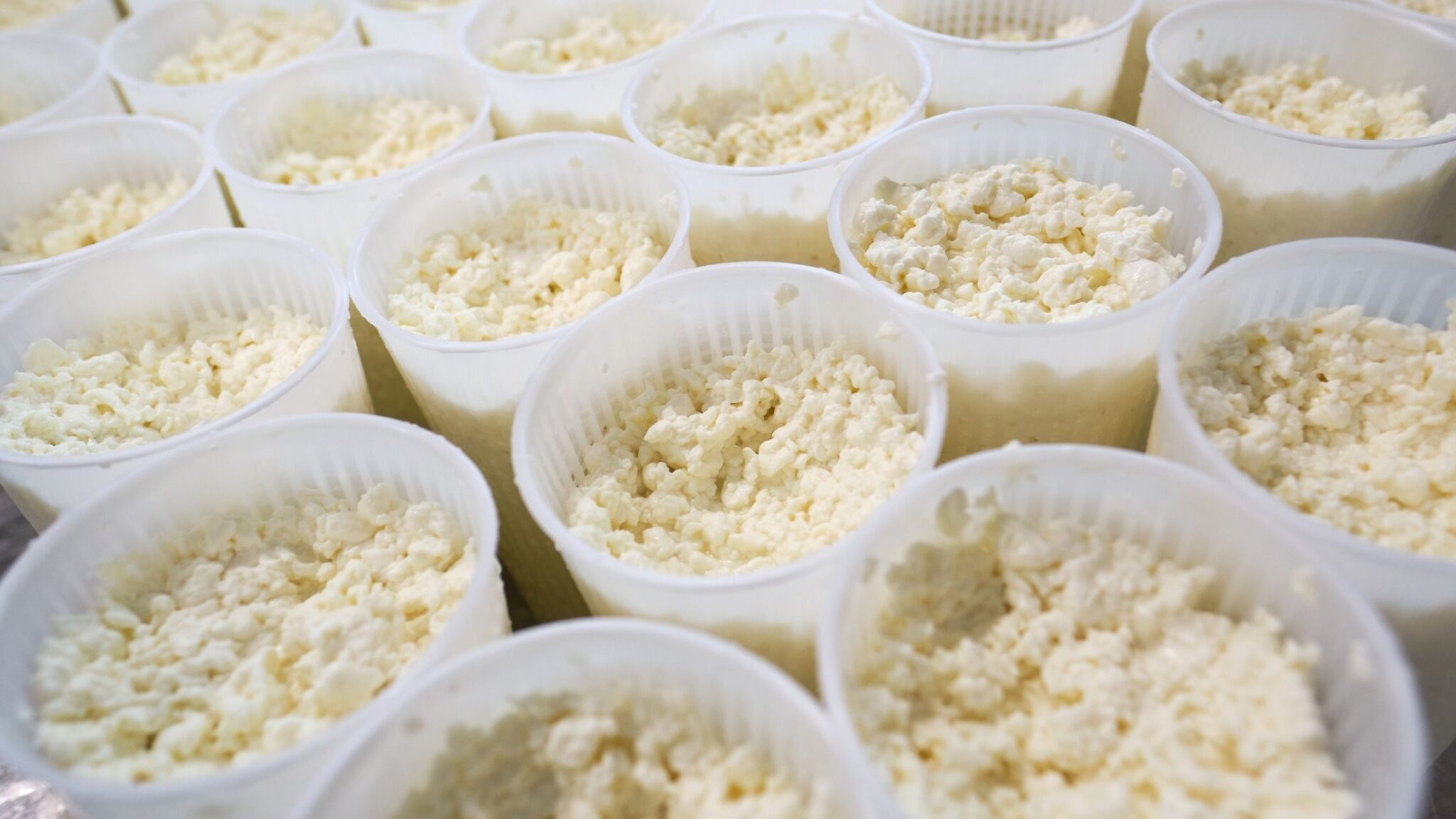 Mongolian Food : 22 Best Traditional Mongolian Dishes You Must Try