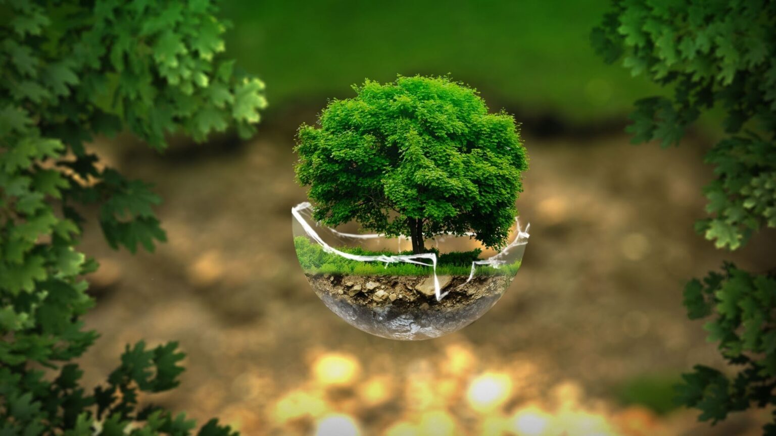 Environmental Awareness: Understanding and Implementing it in Detail