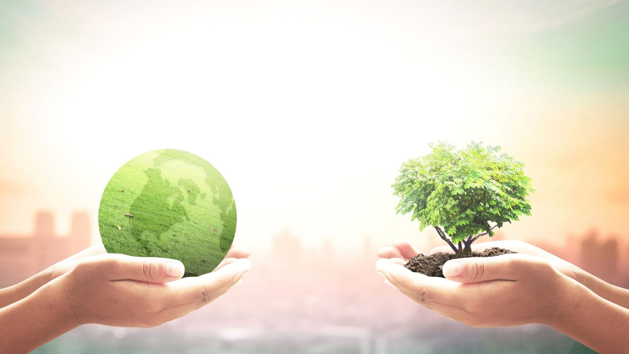 Environmental Awareness: Understanding and Implementing it in Detail
